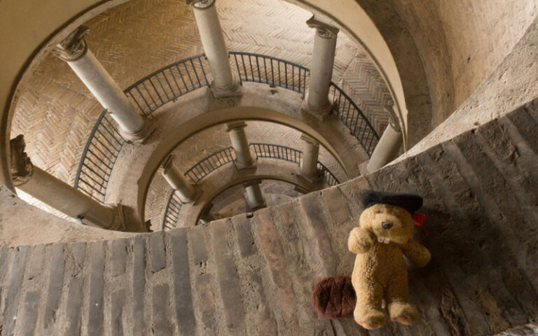 Interesting Facts about the Bramante Staircase in the Vatican ...